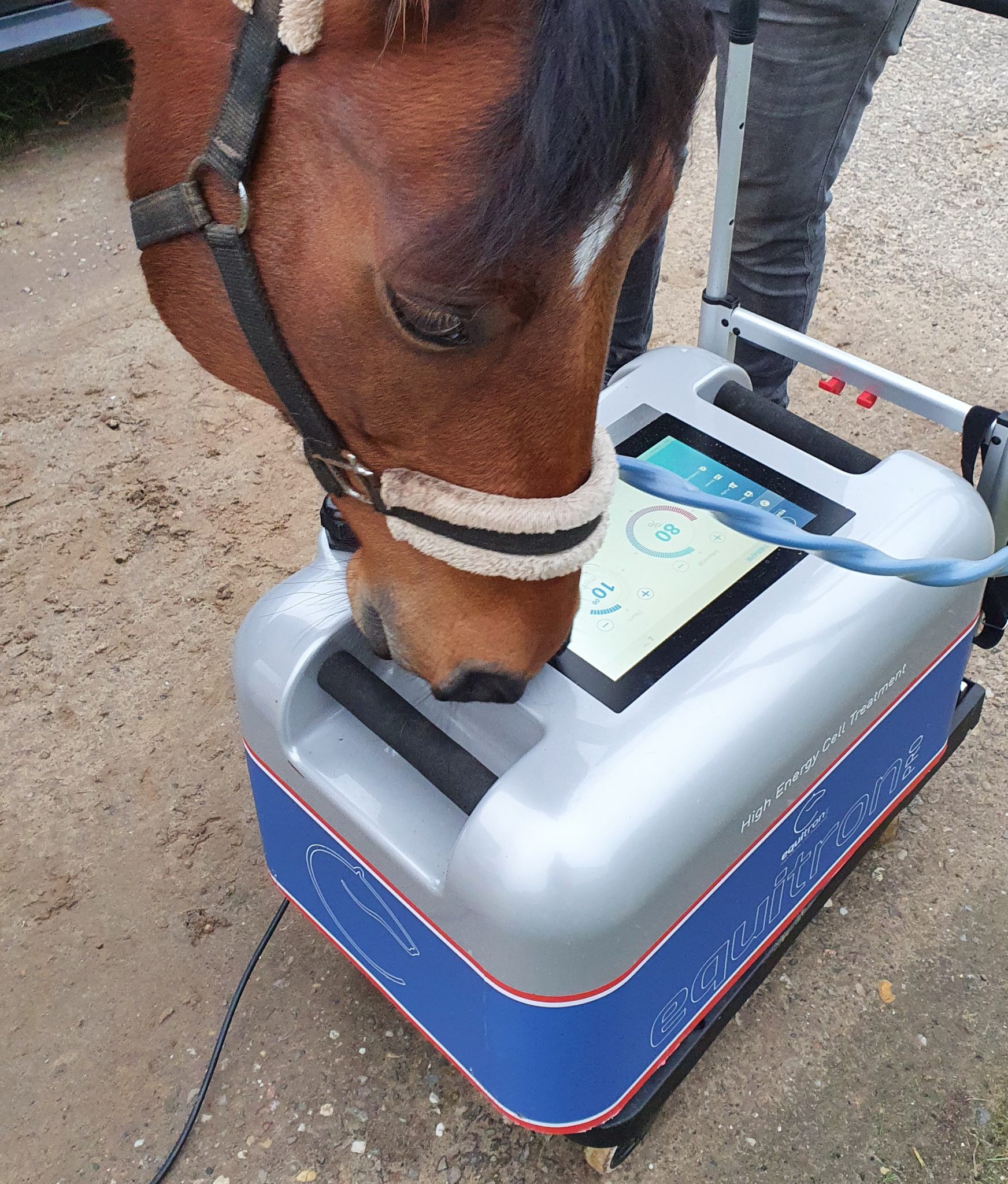 Kundenstimmen – equi-kompetenz.com